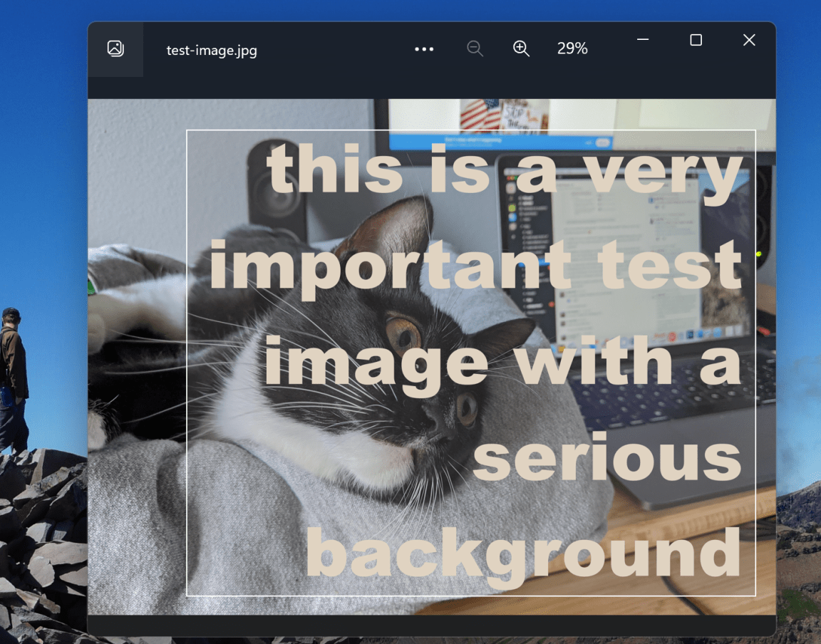 How to copy text from an image | Popular Science