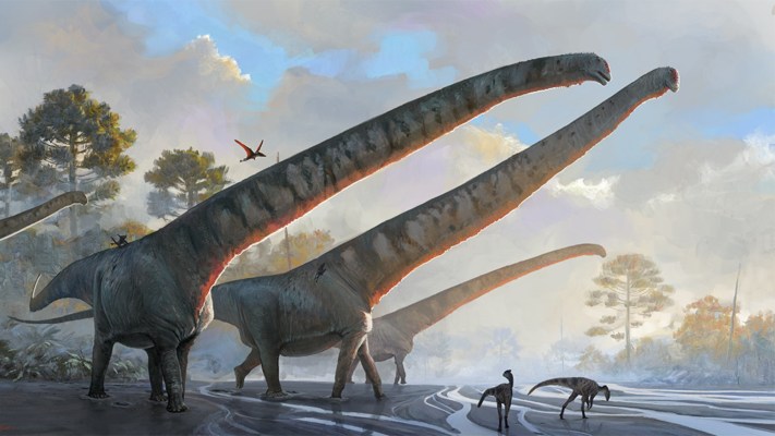Longest sauropod dinosaur? There's a new candidate. | Popular Science