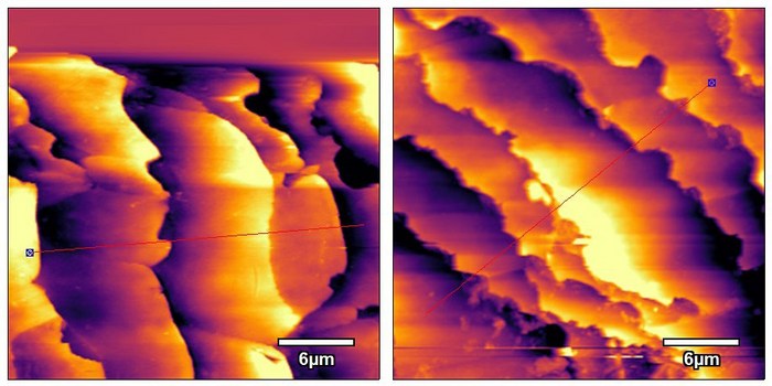 Scientists work out the mechanics of curly hair | Popular Science
