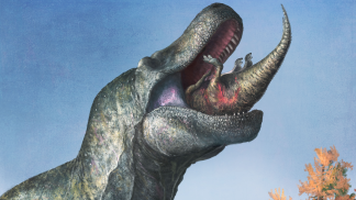 Pucker up: the T-rex likely had lips | Popular Science