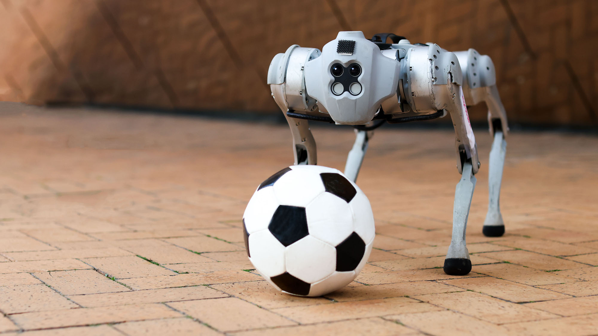 This quadrupedal robot dog is a soccer star | Popular Science