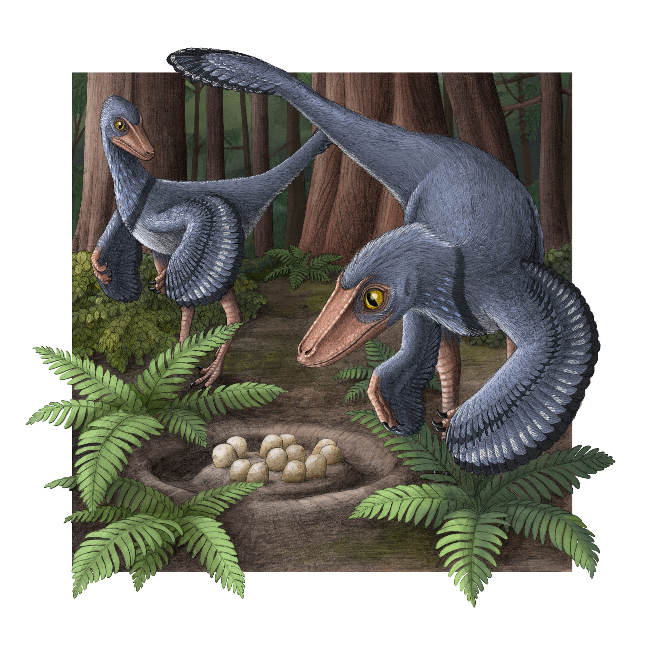 The Troodon laid its eggs in communal nests | Popular Science