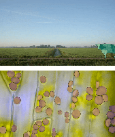 Meta's new AI tool is a key part of machine vision | Popular Science