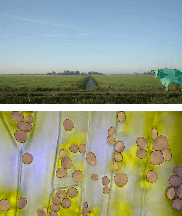 Meta's new AI tool is a key part of machine vision | Popular Science