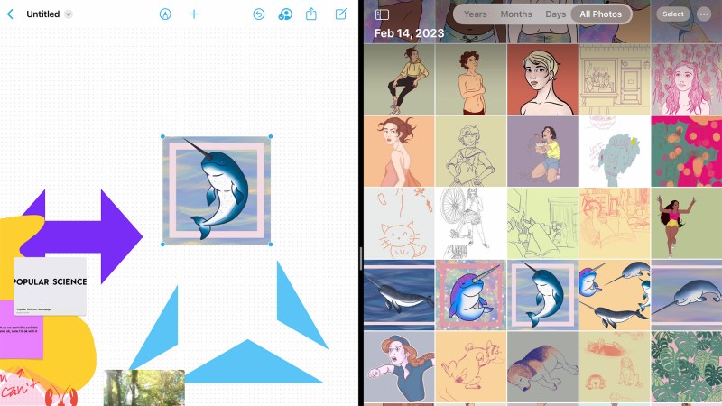 How to get started with Apple's Freeform | Popular Science