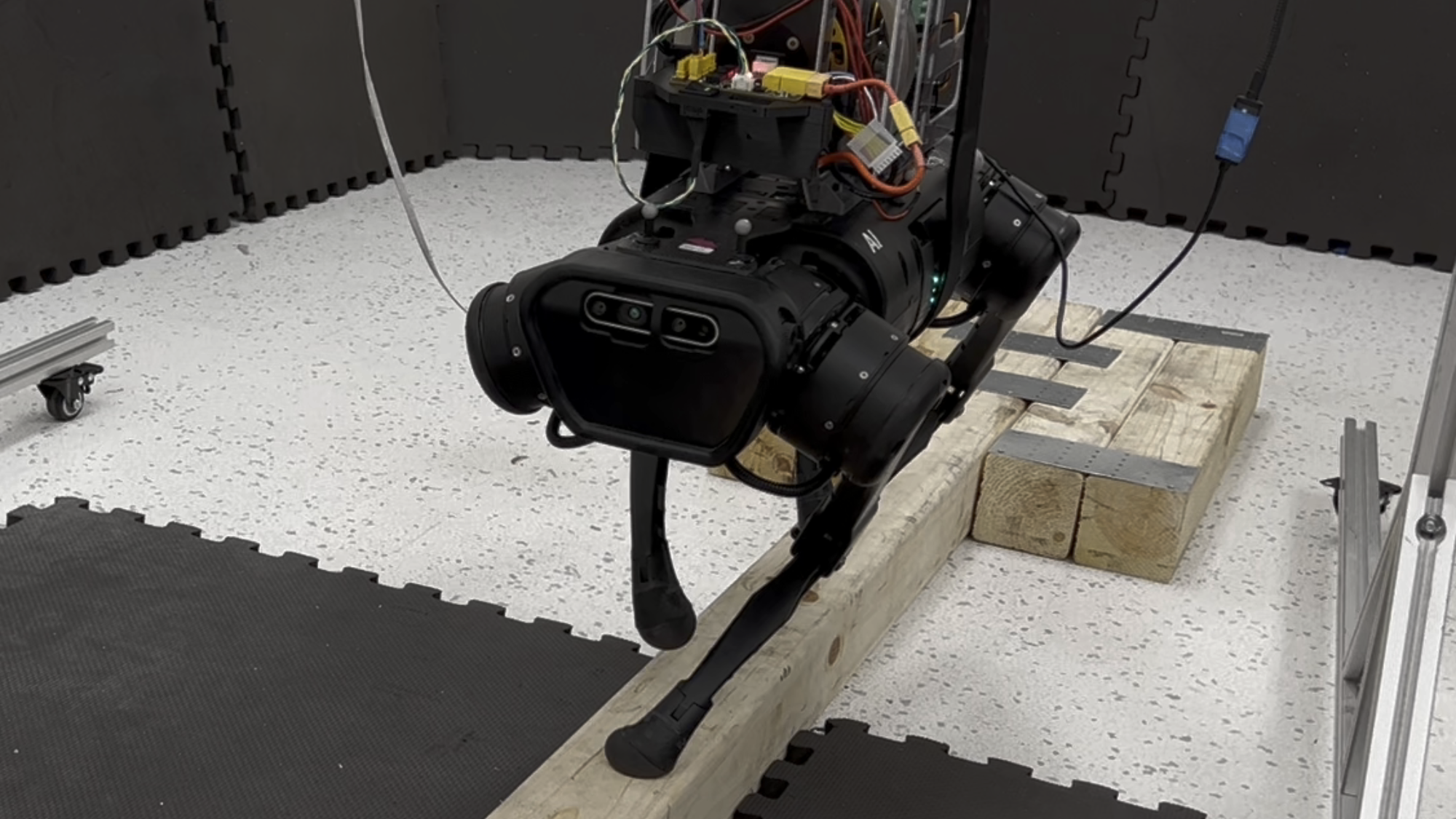 How scientists got a robot dog to act like a dextrous cat | Popular Science