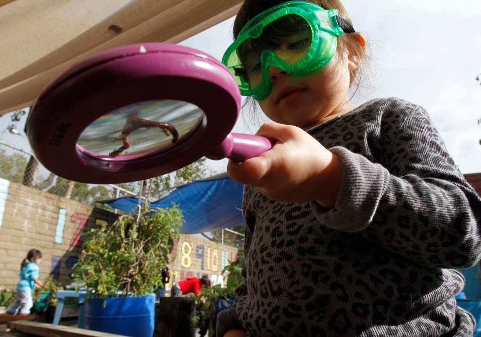 Forest schools naturally teach kids about climate change | Popular Science