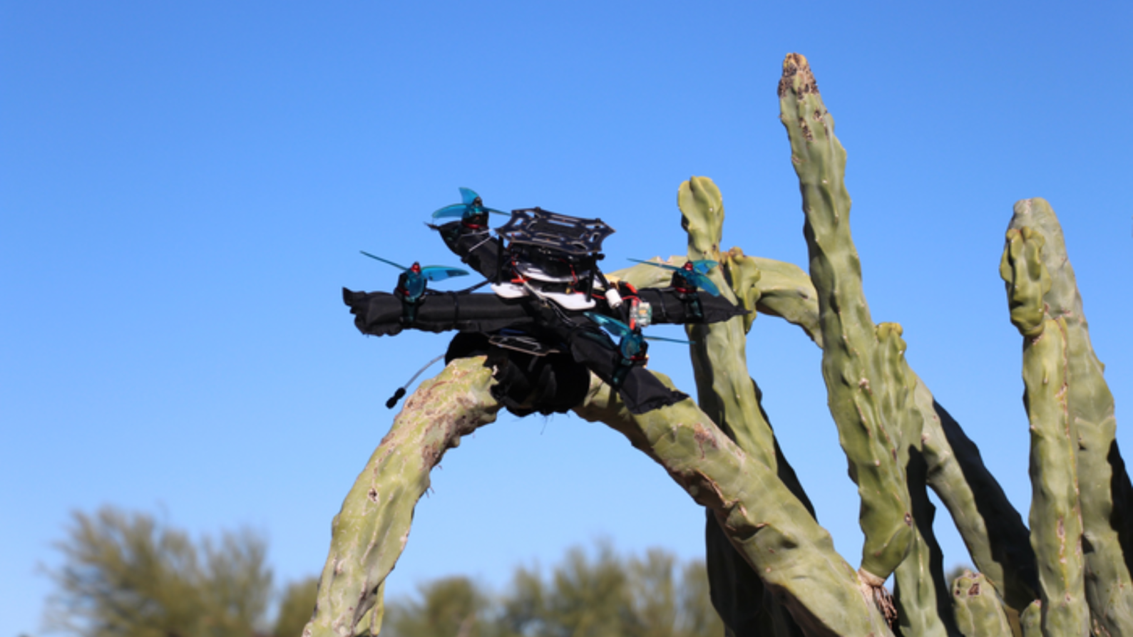 This bouncy drone can handle collisions | Popular Science