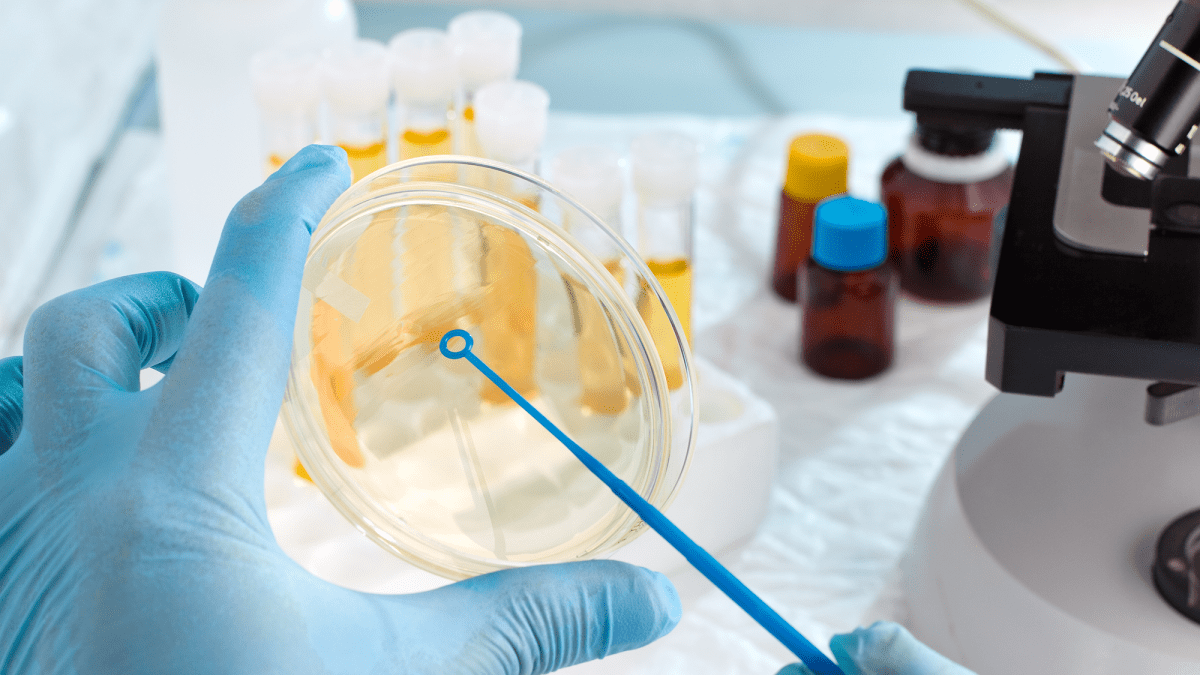 FDA approves first fecal transplant pill | Popular Science