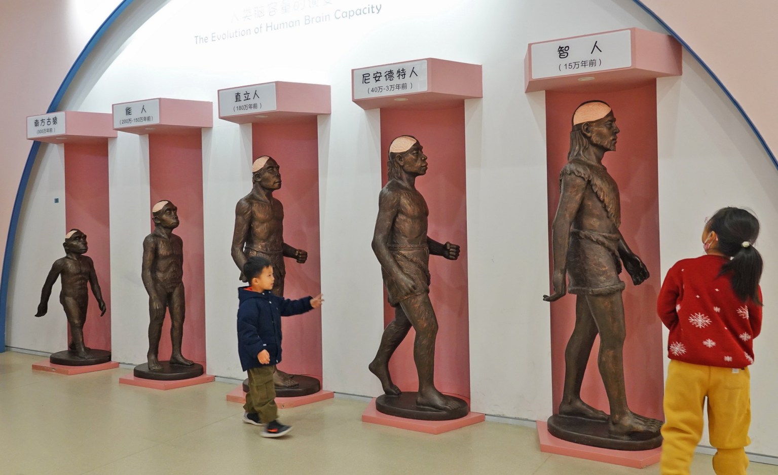 Humans evolved bigger brains through mutations | Popular Science