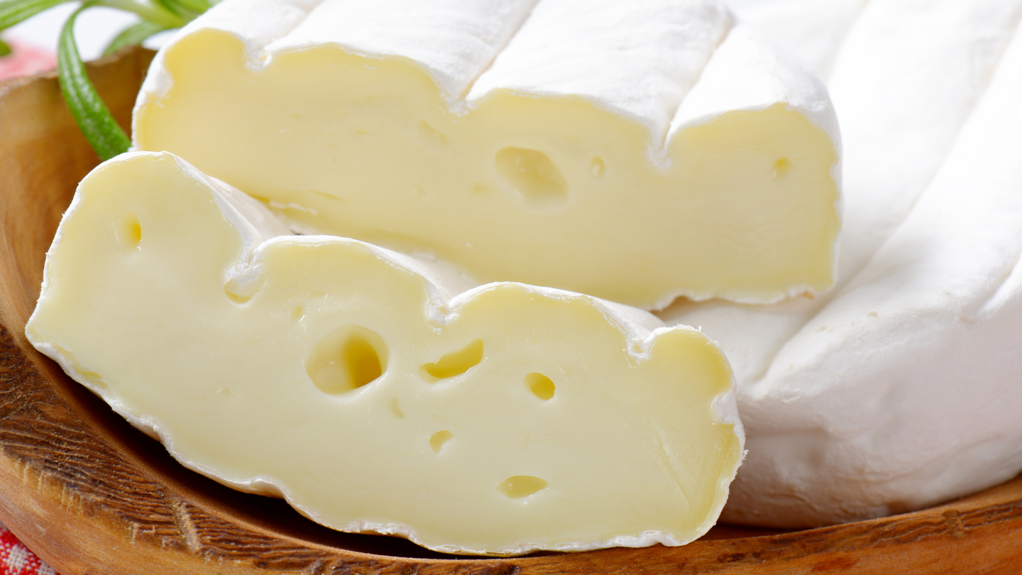 Scientists use cheese to study fungal antibiotics | Popular Science