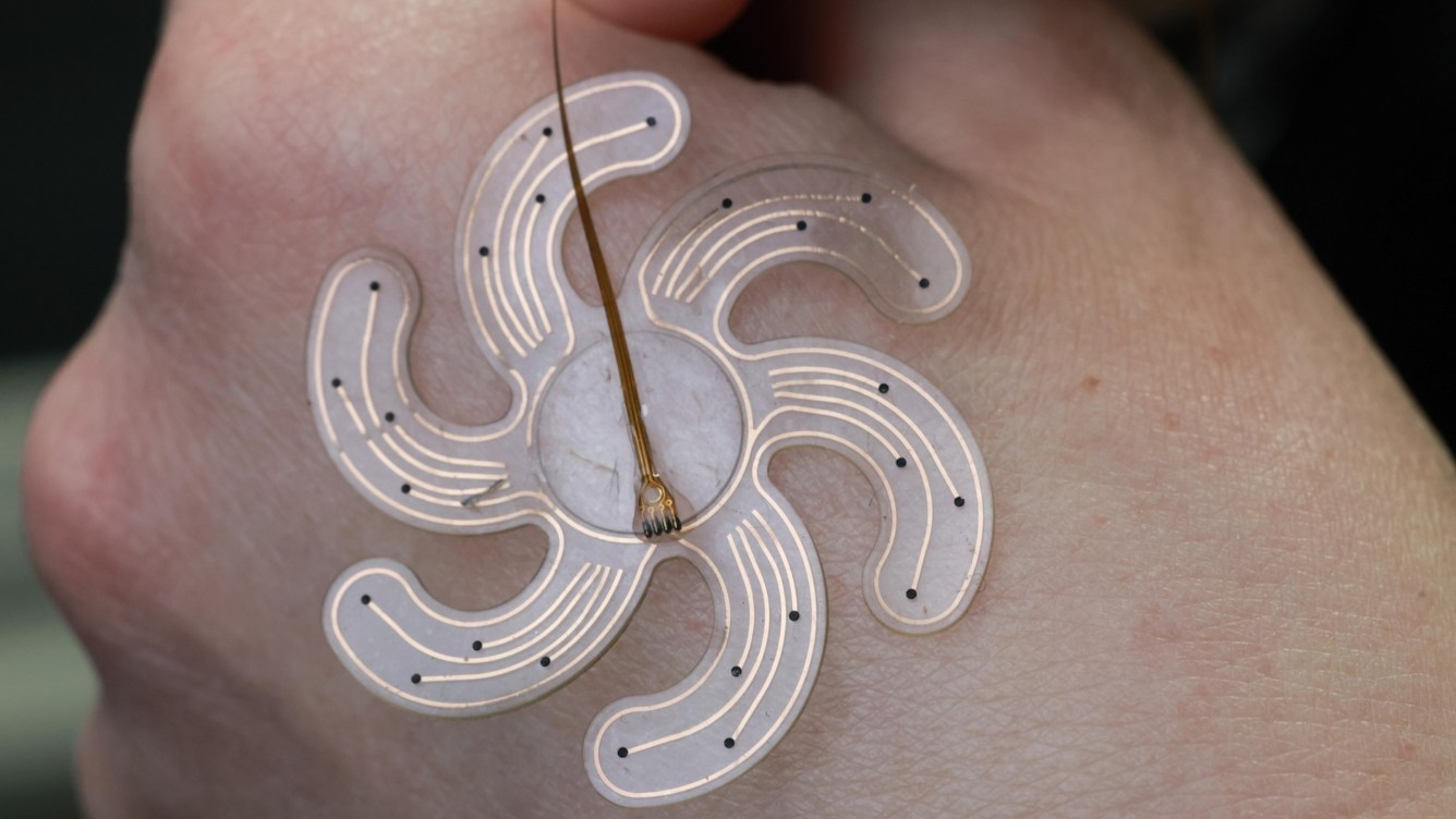 Scientists build a less invasive electrode | Popular Science