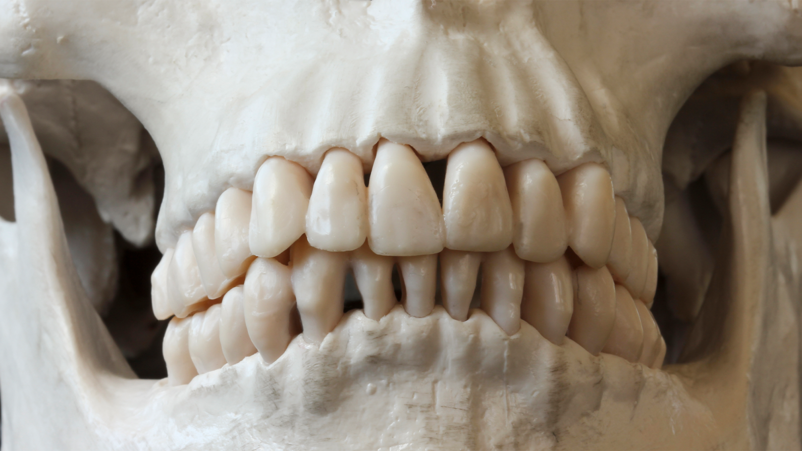 Plague DNA found in 4,000-year-old teeth | Popular Science
