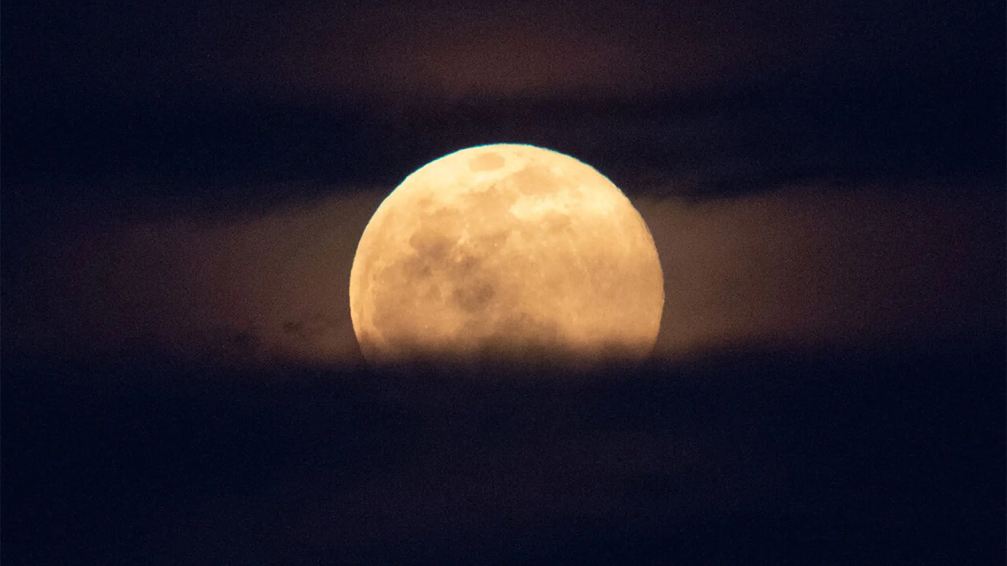 June stargazing guide: Summer Solstice and more | Popular Science