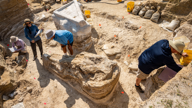 Ancient elephant graveyard unearthed in Florida | Popular Science