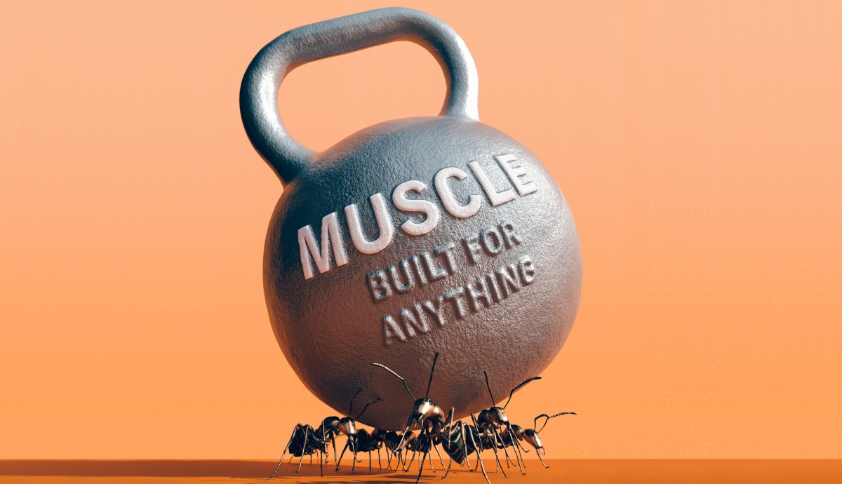 Read the Popular Science Summer 2023 issue | Popular Science