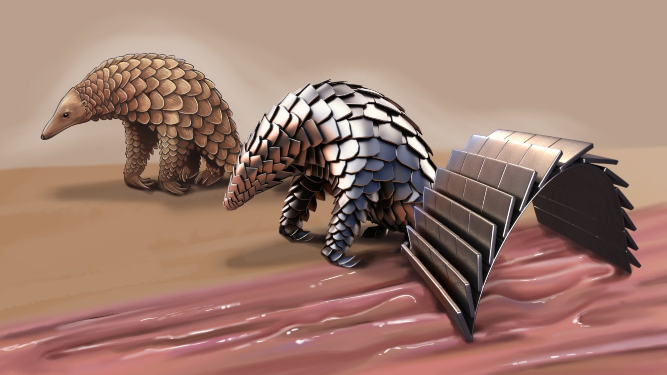 Scientists use pangolin-like scales for new robot | Popular Science