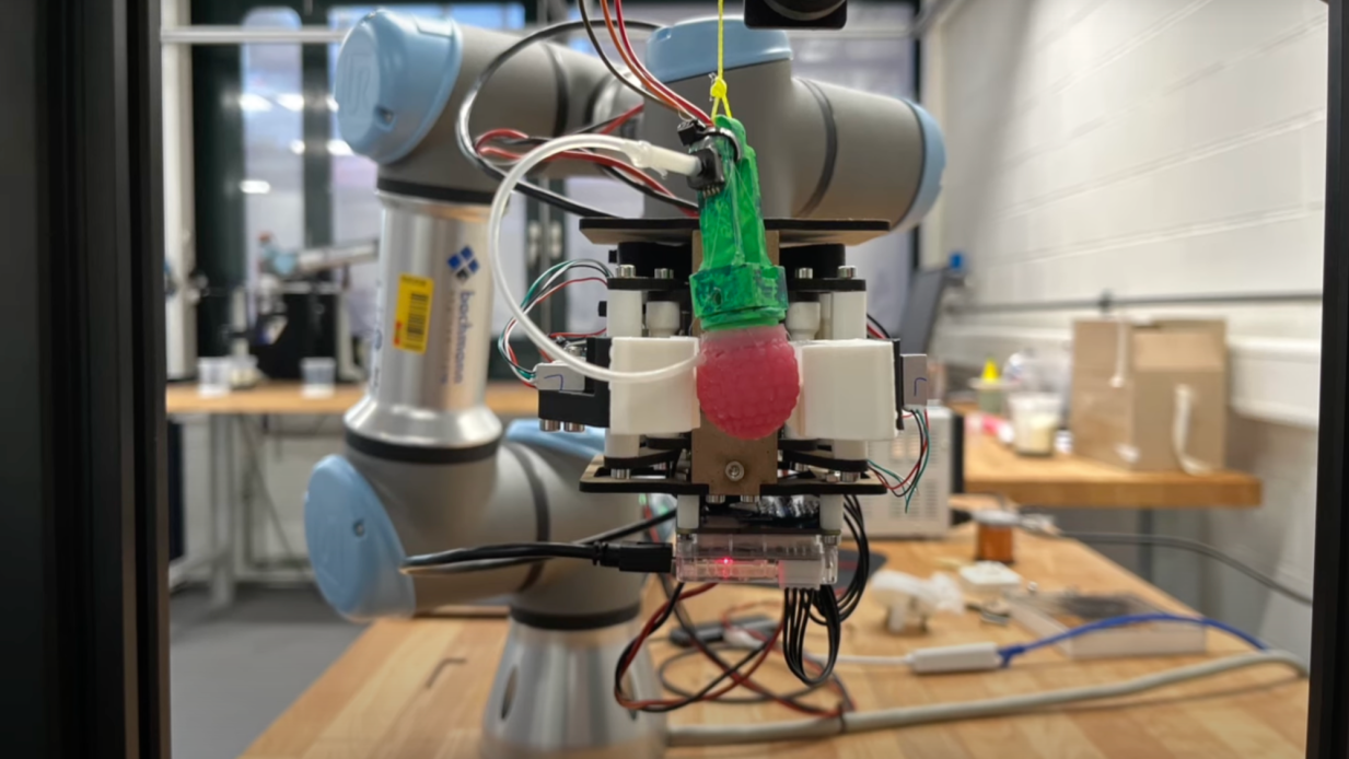 Raspberry-picking robot to be tested this summer | Popular Science