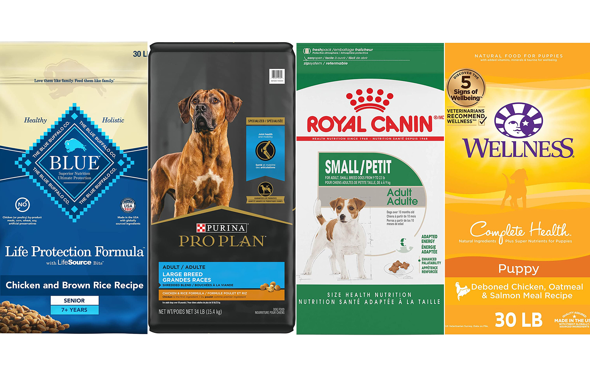 The best dog food | Popular Science