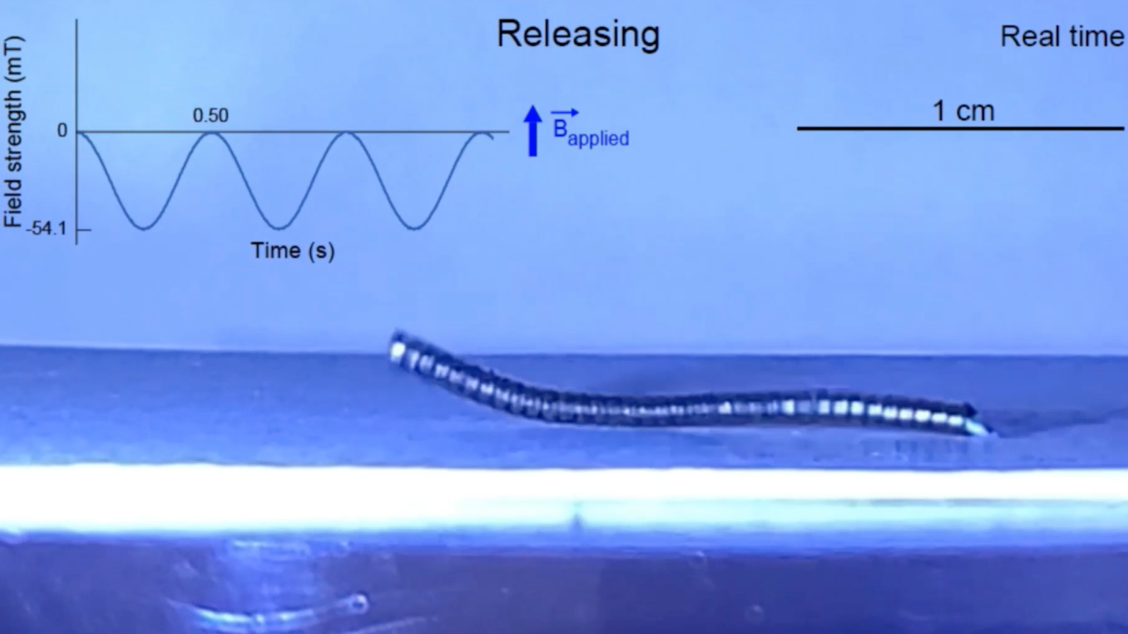 Strategic magnets make this robot inch along | Popular Science