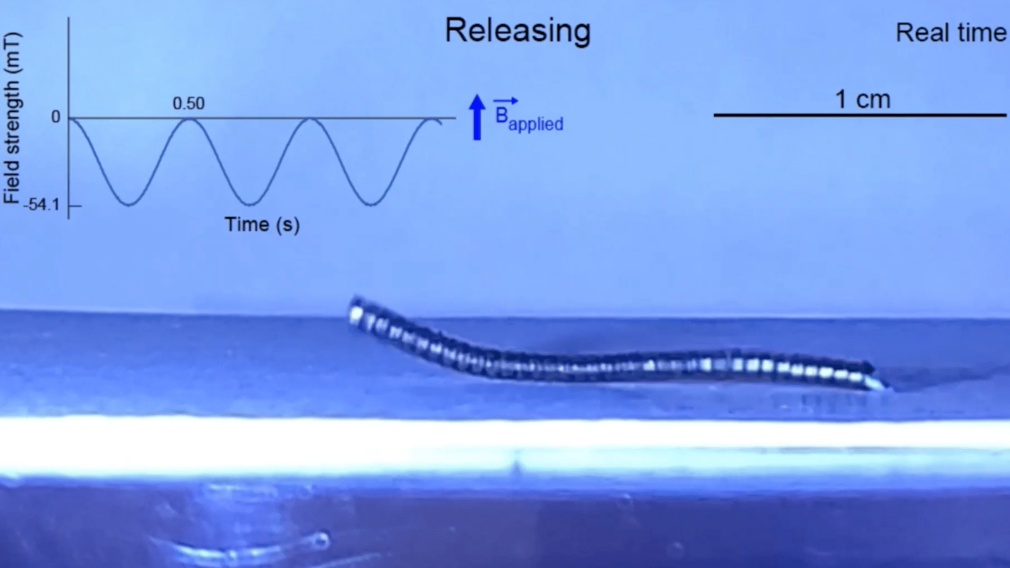 Strategic magnets make this robot inch along | Popular Science