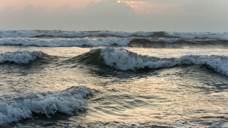 Why the ocean is losing oxygen | Popular Science