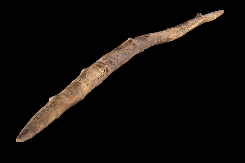 A javelin-like stick shows early humans may have been keen woodworkers ...