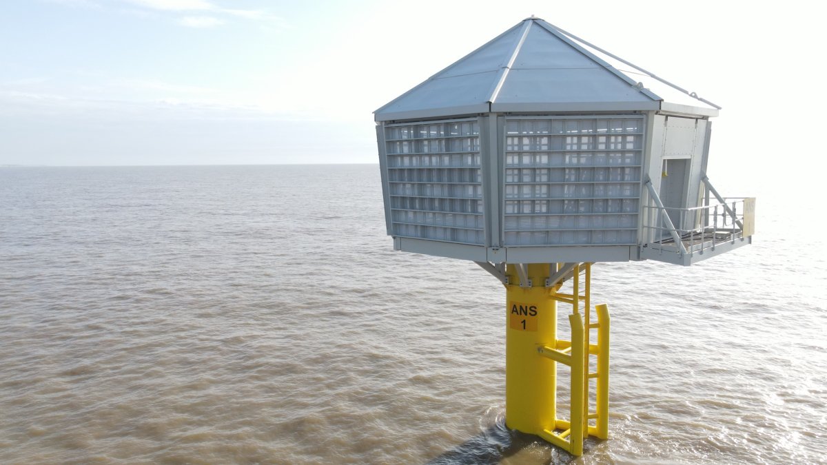 Artificial nests could give birds a home near offshore wind farms ...
