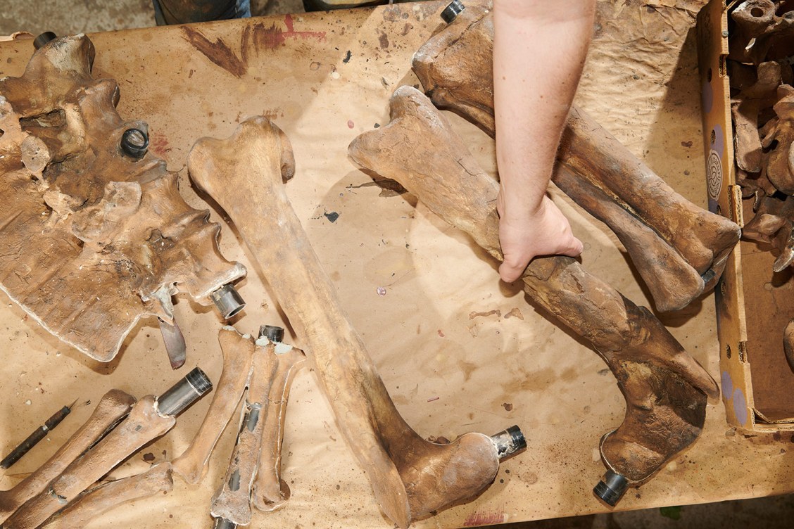 How artists make replicas of dinosaur fossils | Popular Science