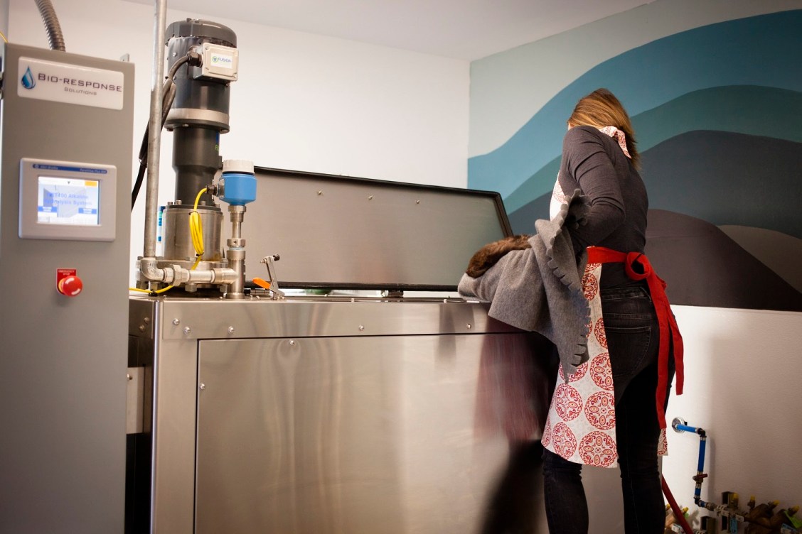 Sustainable funerals: What is body liquification? | Popular Science