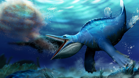 Rhynchosaur teeth couldn't handle its tough diet | Popular Science