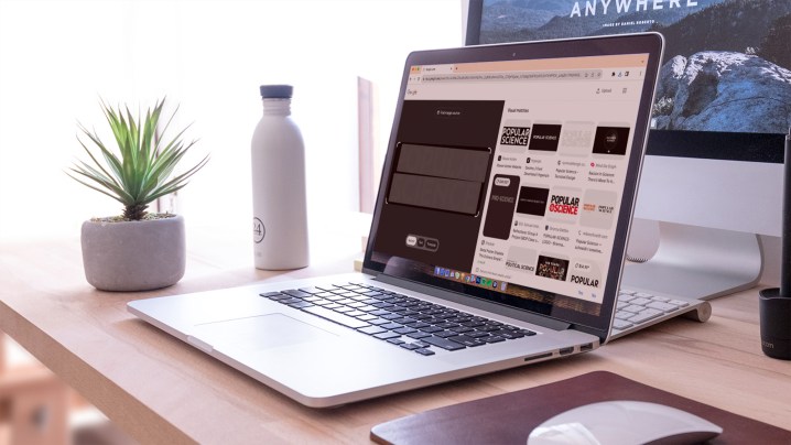 How to reverse image search | Popular Science