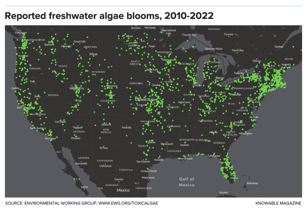 How a notoriously polluted lake might be saved | Popular Science