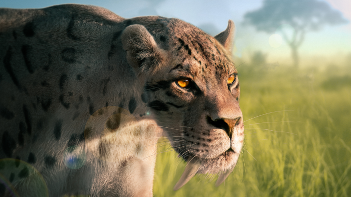 How saber-toothed cats' baby teeth kept their adult fangs from breaking ...
