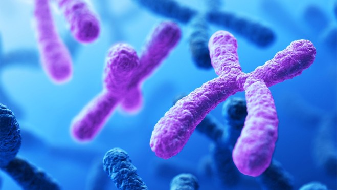 The final missing piece of the human genome has been decoded | Popular ...
