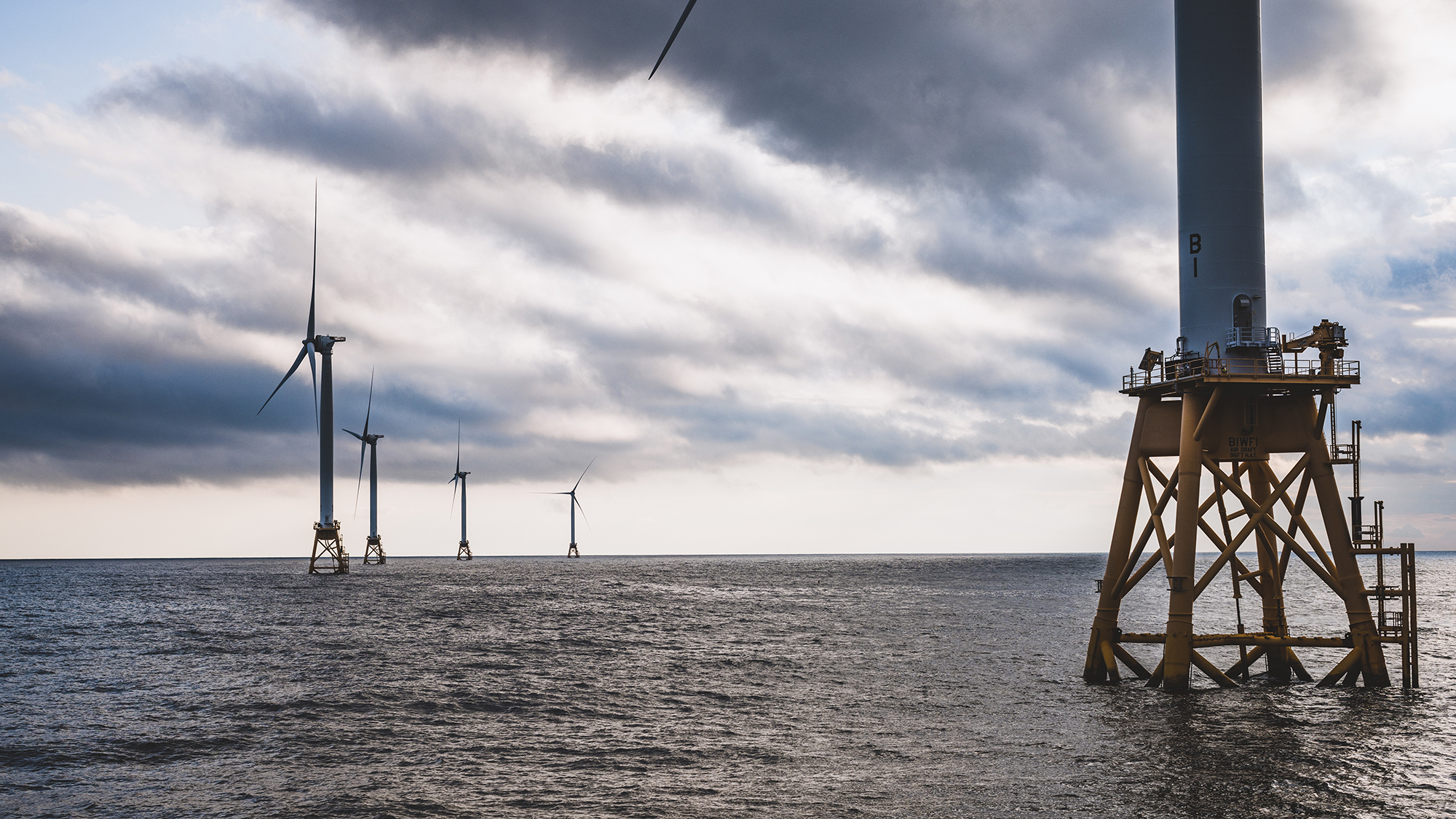 How will more offshore wind turbines affect marine ecosystems ...