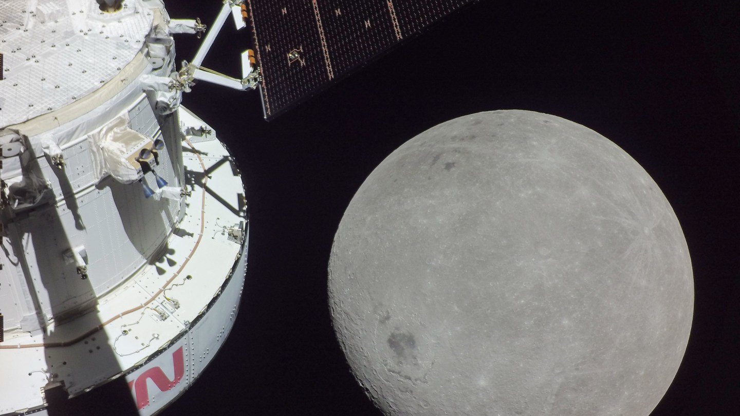 How to get NASA moon seeds for your community park | Popular Science