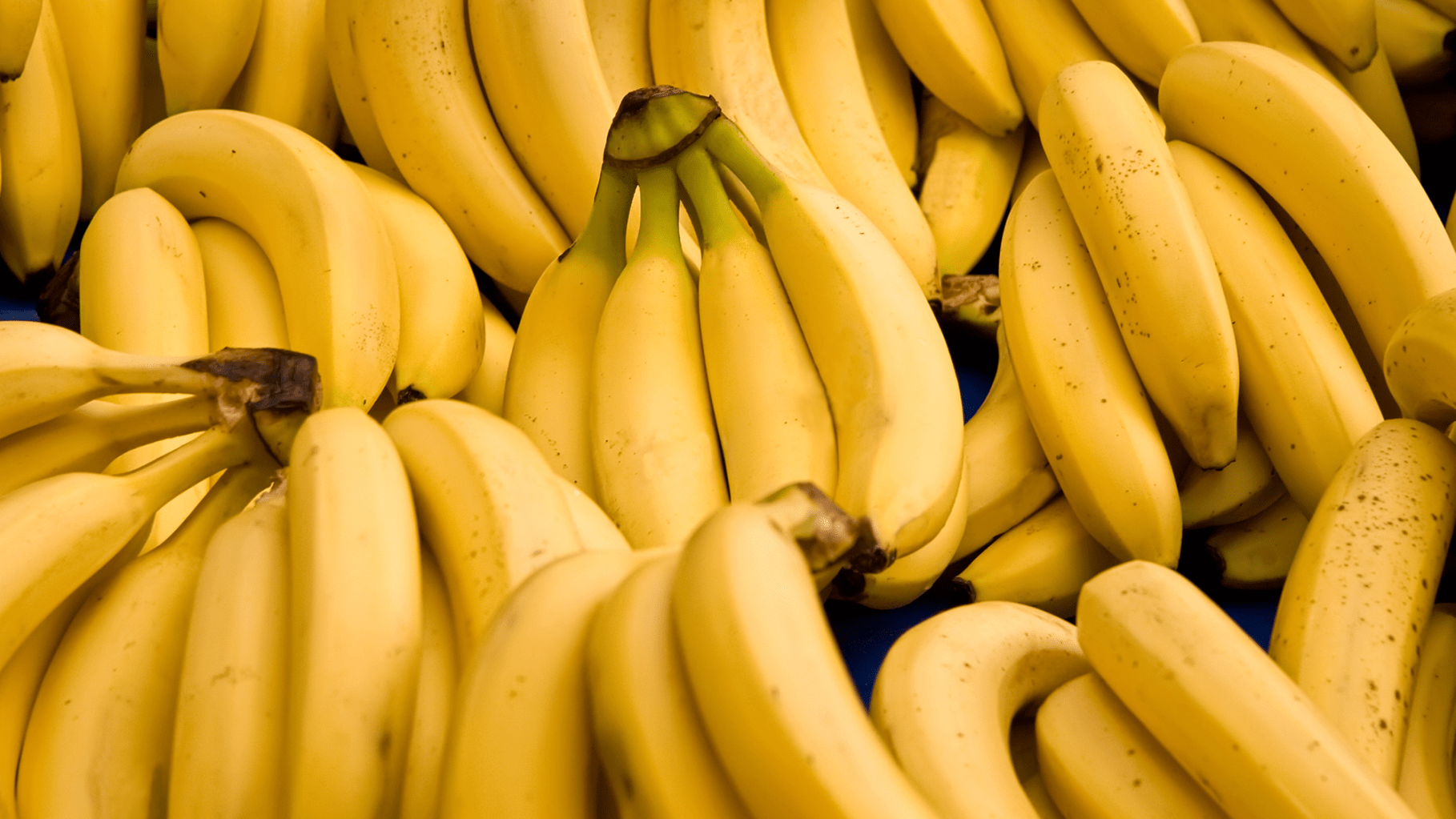 Male mice are utterly terrified of bananas | Popular Science