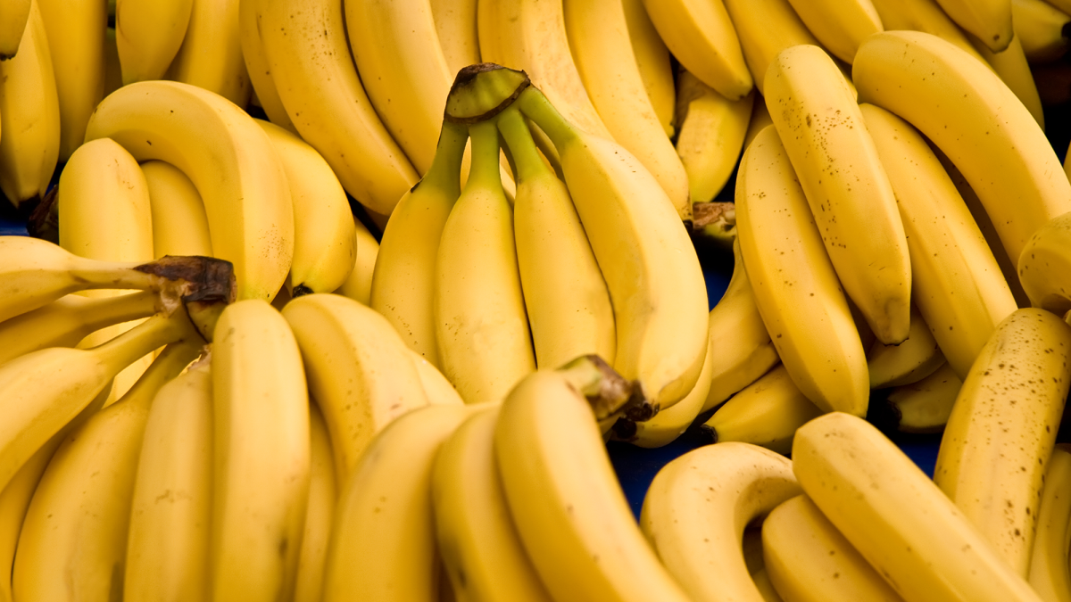 Male mice are utterly terrified of bananas | Popular Science