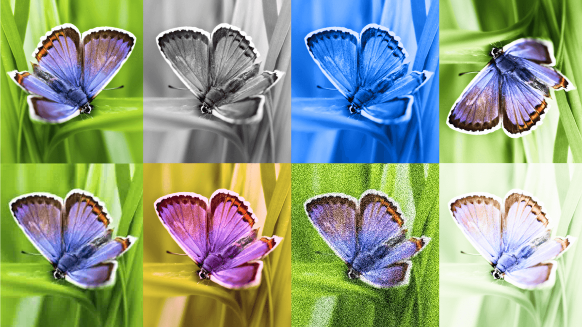What to know about Google's watermark for AI-generated images | Popular ...