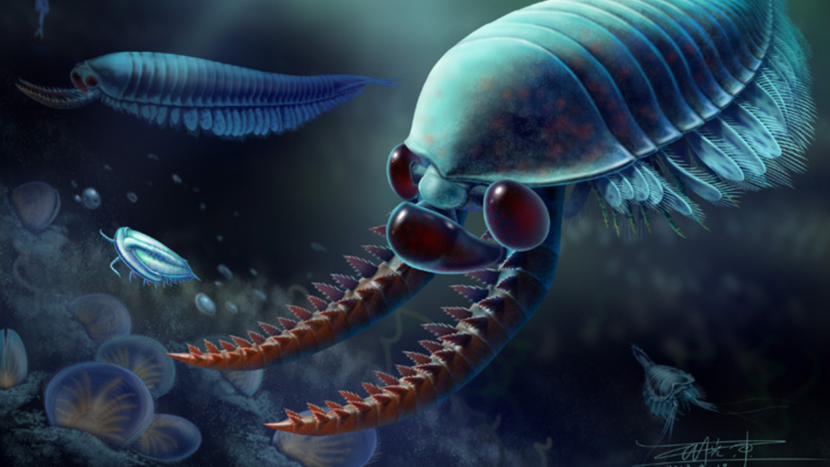 Cambrian-era arthropod relative had three eyes | Popular Science