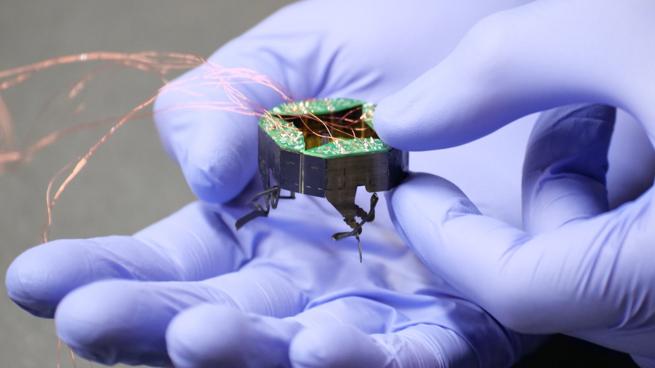 This cockroach-inspired bot squishes into tiny spaces | Popular Science