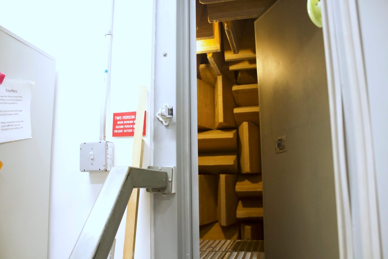 Inside a room with no echoes | Popular Science