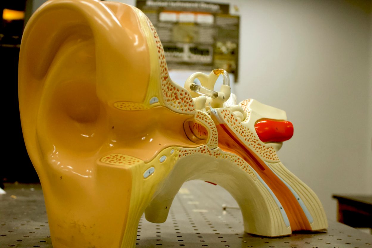 Inside a room with no echoes | Popular Science