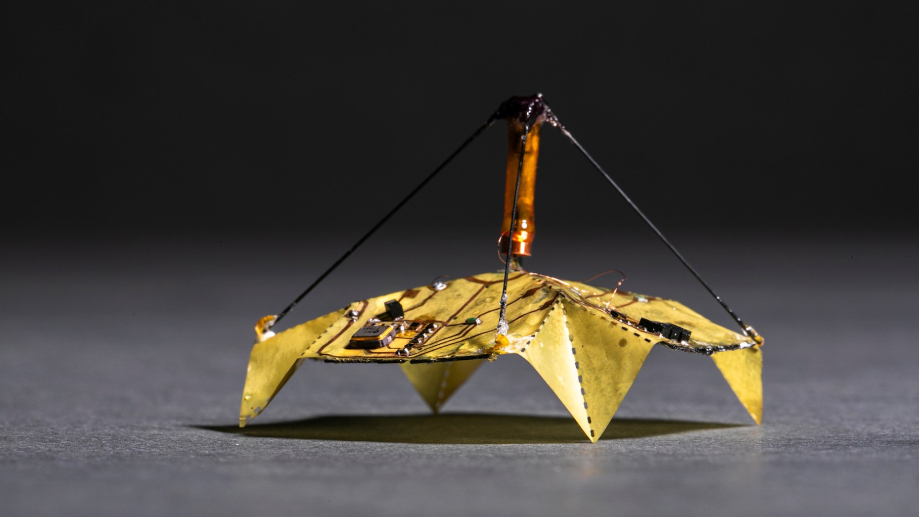 Microbots fold like origami to control their descent | Popular Science