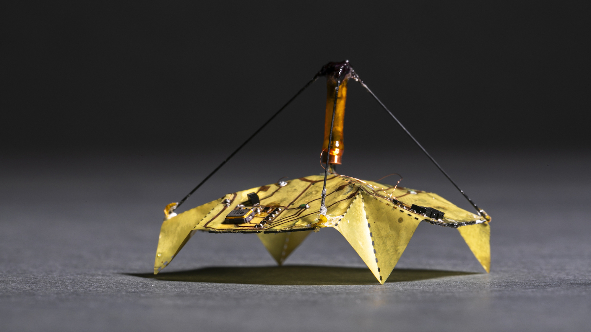 Microbots fold like origami to control their descent | Popular Science