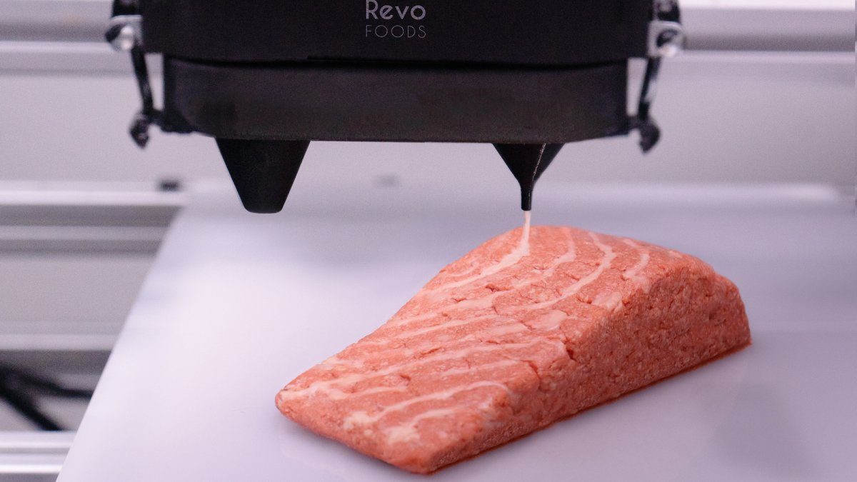 Tech startup makes vegan fish with first 3D printed salmon filet ...