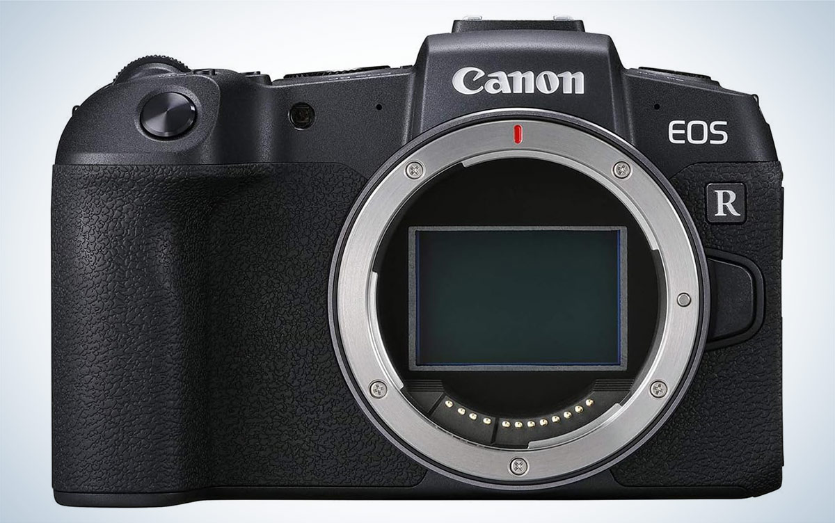 The best cameras under $1,000, according to experts | Popular Science