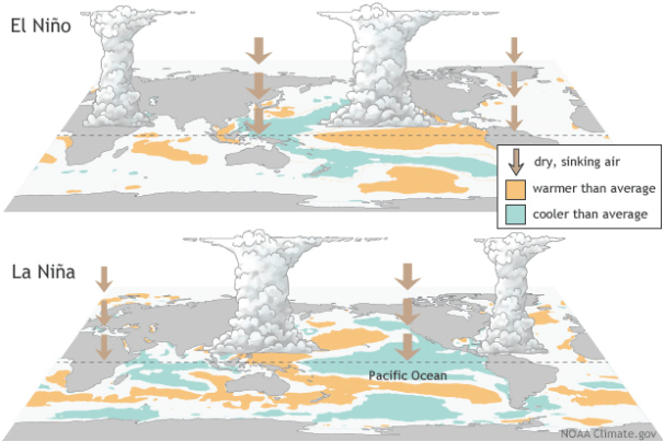 Pacific Ocean weather patterns are intensifying with climate change ...
