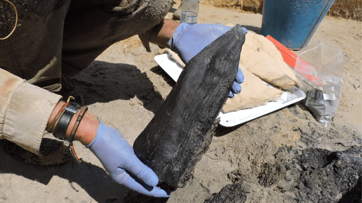 World's oldest known wooden structure found in Zambia | Popular Science